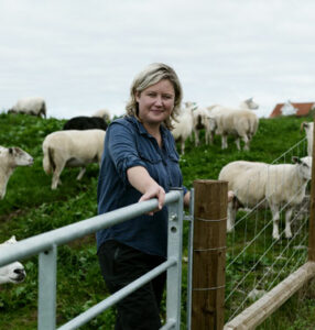 OctoPost - Loughwood Fencing